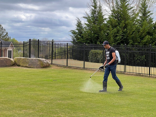 Best Weed & Feed for Lawns | Golf Course Lawn Store
