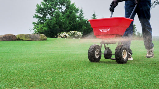 Best Beginner's Weed Killer | Golf Course Lawn Store