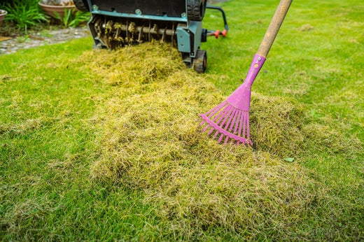 Verticutting, Dethatching & Scarifying | Golf Course Lawn Store