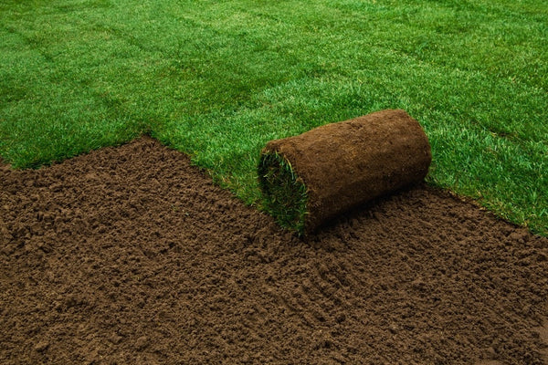 Sod Installation in Spring | Golf Course Lawn Store