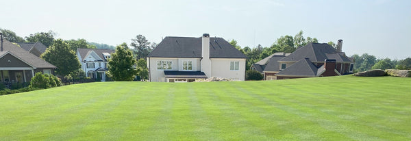 Tips for Lawns Over 5000sq ft | Golf Course Lawn Store