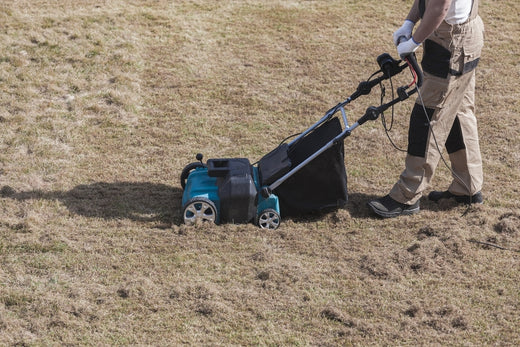 Should You Scalp Your Lawn? | Golf Course Lawn Store