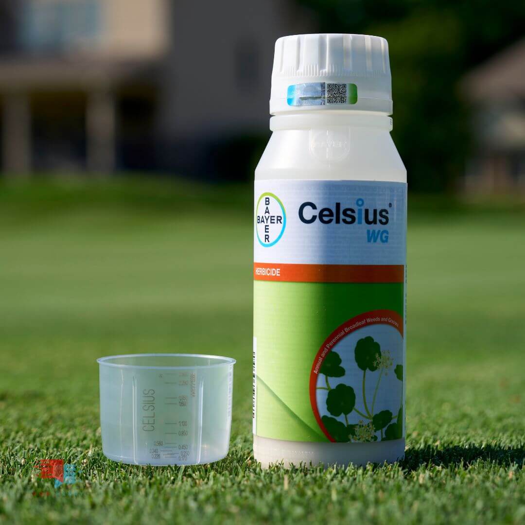 Celsius weed killer store