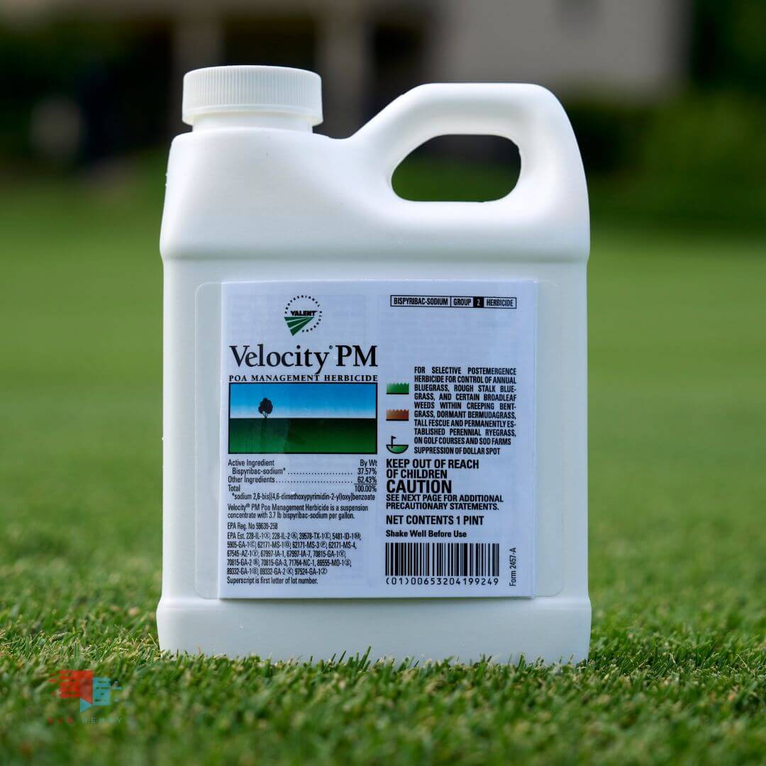 Velocity® PM Herbicide - Poa Annua Control for Cool Season Grasses